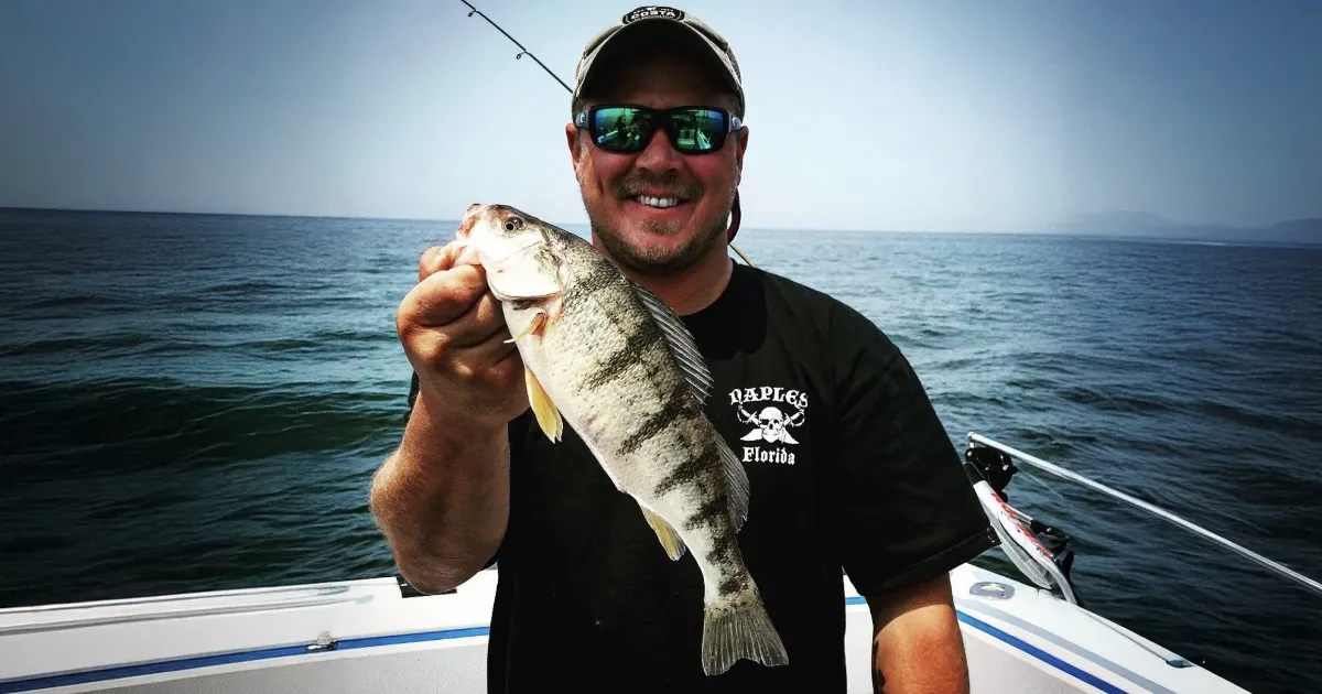 Gold Coast Fishing Company | Premium Lake Michigan & St. Joe River ...